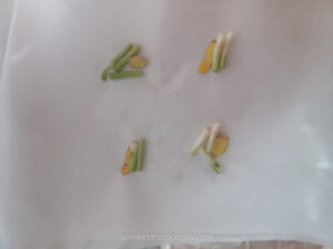 Easy Hakka Salt-Baked/Steamed Chicken (Ipoh-style)