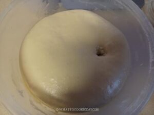 Super Soft Shokupan/ Japanese Milk Bread (Sponge Method)