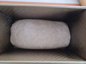 Sourdough Wholemeal/Whole Wheat Pullman Loaf (Pain De Mie)