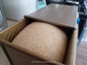 Sourdough Wholemeal/Whole Wheat Pullman Loaf (Pain De Mie)