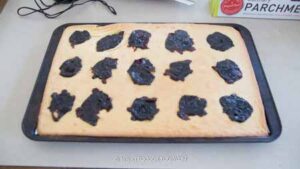 Bolu Gulung Prunes /Prune Roll Cake