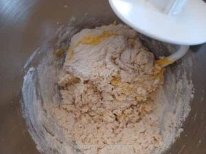 Italian Easter Dove Bread (Colomba Pasquale) - with Biga