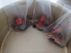 Easy Fruit Jelly Dumplings (Jelly Zongzi)