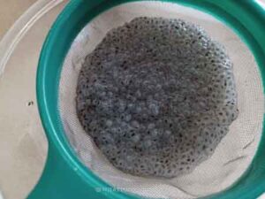 Easy Fruit Jelly Dumplings (Jelly Zongzi)