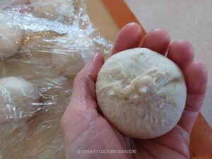 Turtle-Shaped Melon Pan (sourdough option)