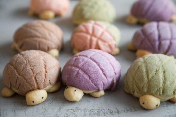 Turtle-Shaped Melon Pan (sourdough option)