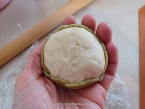 Turtle-Shaped Melon Pan (sourdough option)