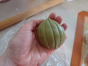 Turtle-Shaped Melon Pan (sourdough option)