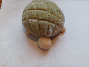 Turtle-Shaped Melon Pan (sourdough option)
