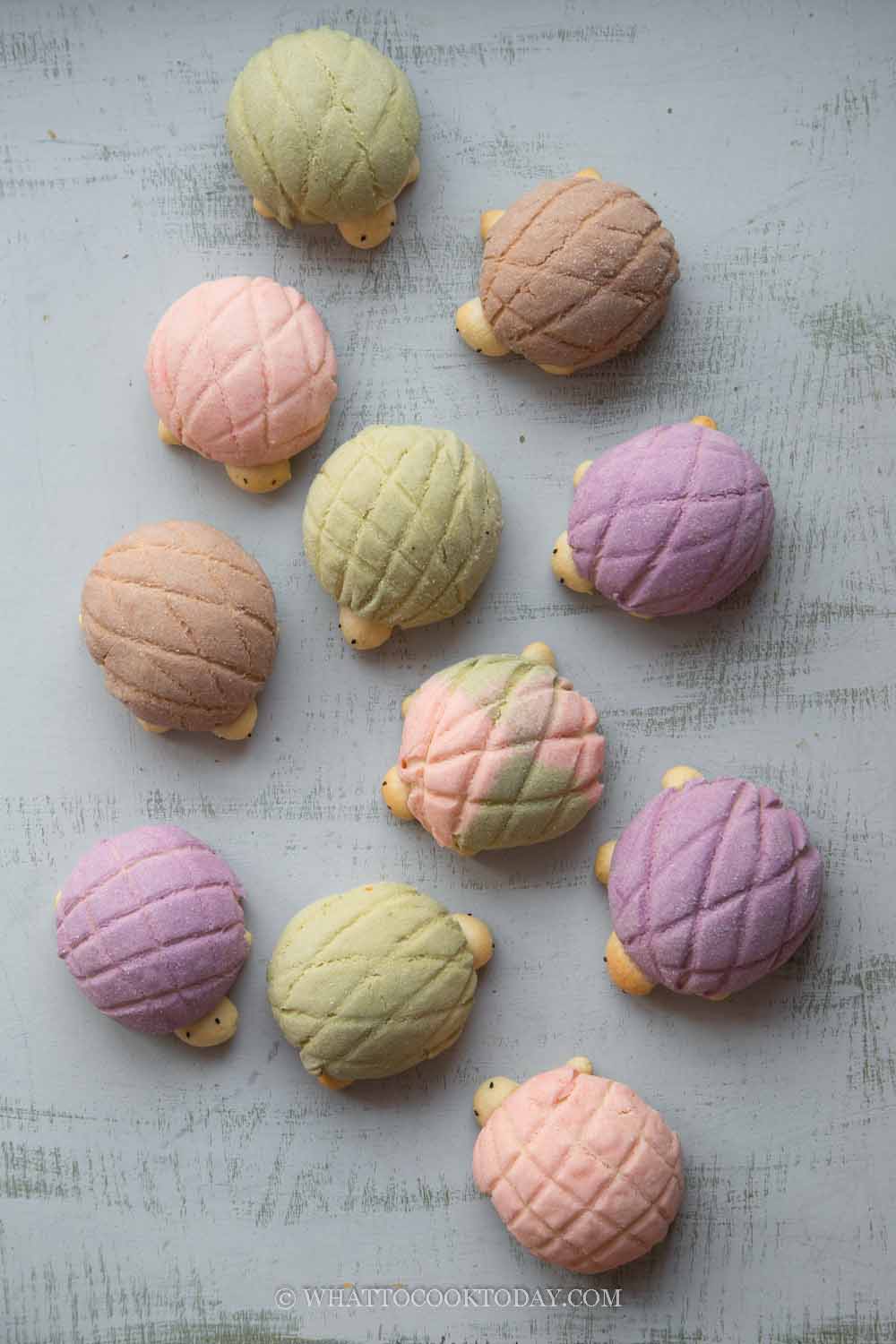 Turtle-Shaped Melon Pan (sourdough option)