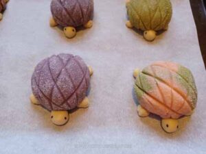 Turtle-Shaped Melon Pan (sourdough option)