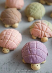 Turtle-Shaped Melon Pan (sourdough option)