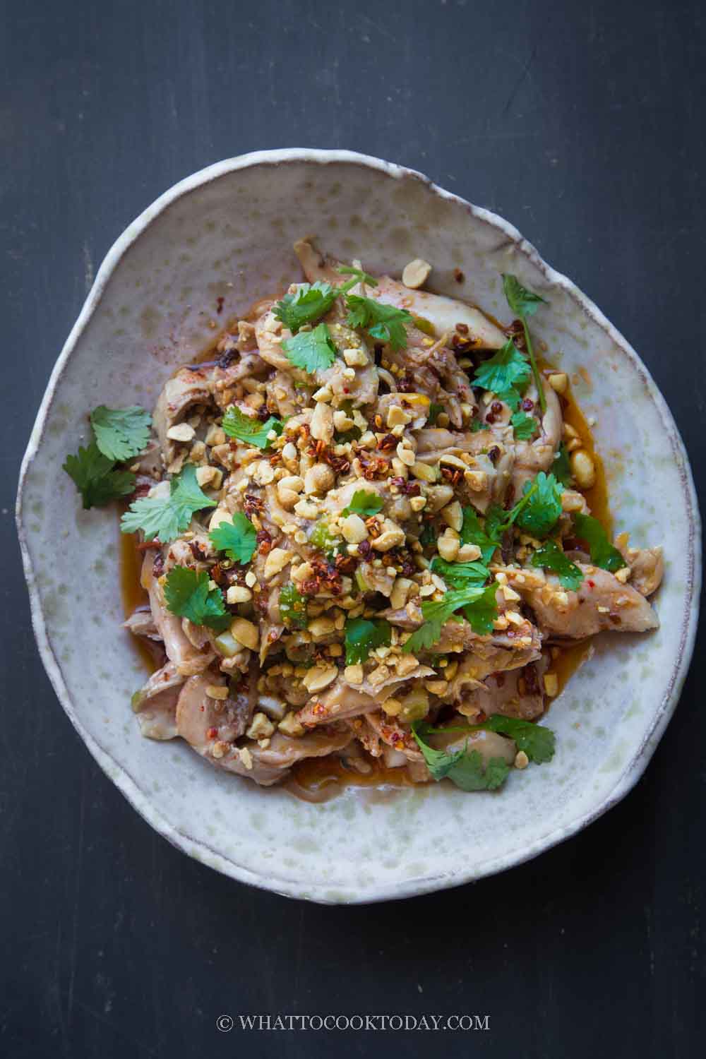 Sichuan Kou Shui Ji (Mouthwatering Chicken)