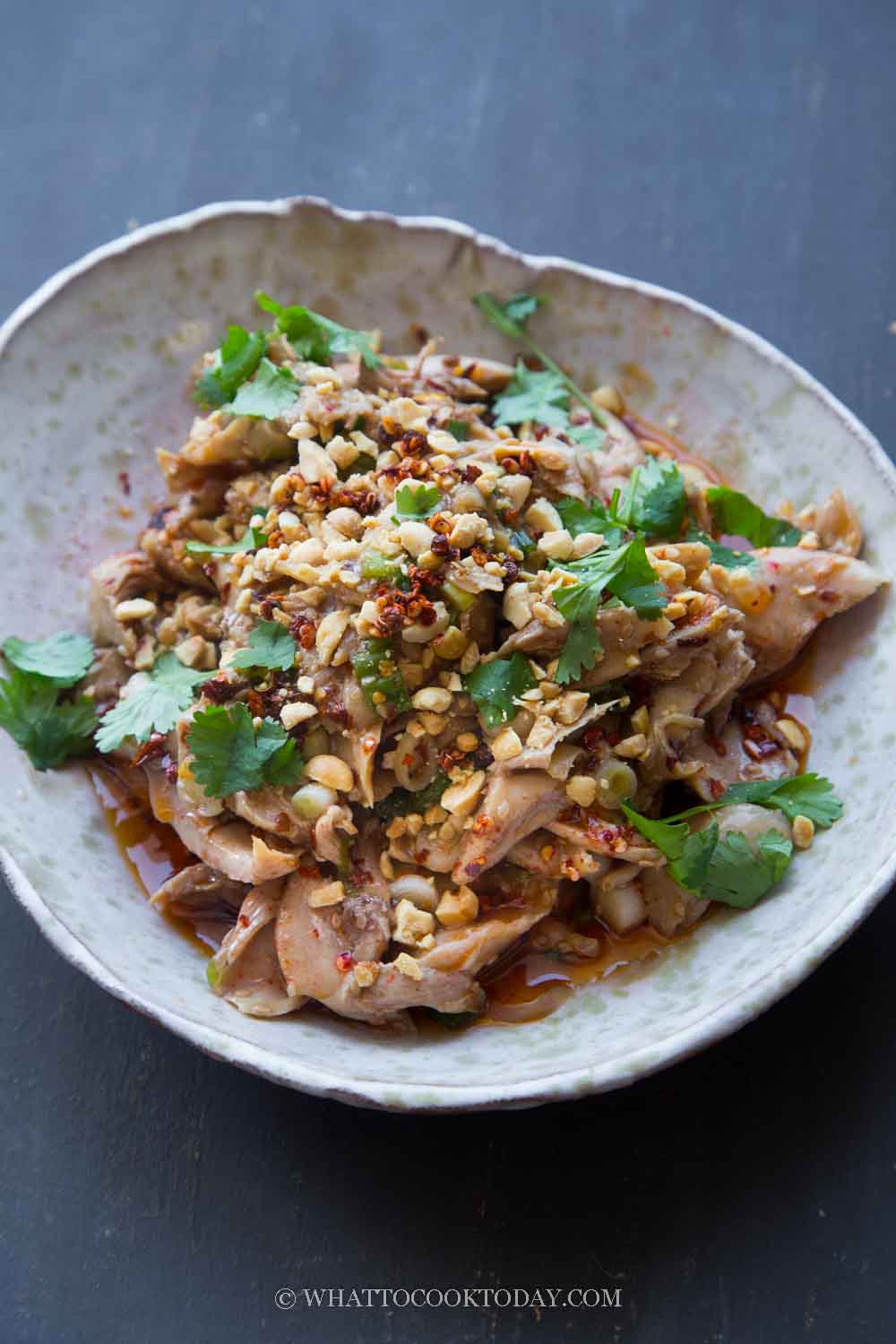 Sichuan Kou Shui Ji (Mouthwatering Chicken)