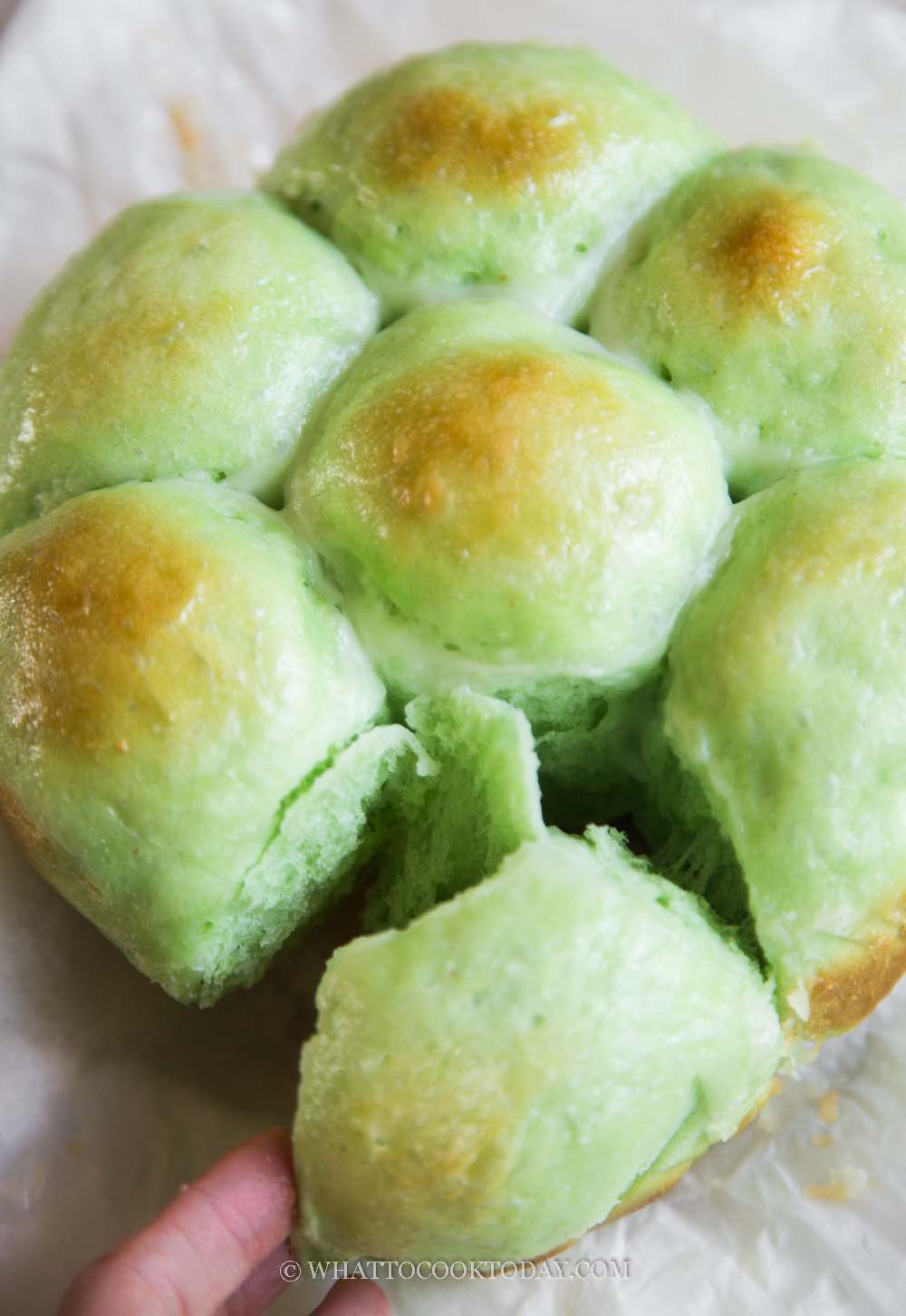 Pani Popo (Samoan Coconut Buns) - Pandan Flavor