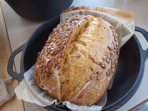 No-Knead Pumpkin Sourdough Country Bread