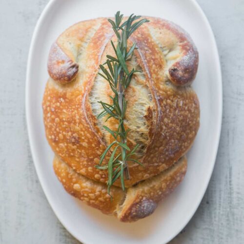 Easy No-Knead Turkey-Shaped Sourdough Bread