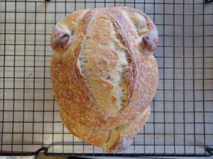 Easy No-Knead Turkey-Shaped Sourdough Bread