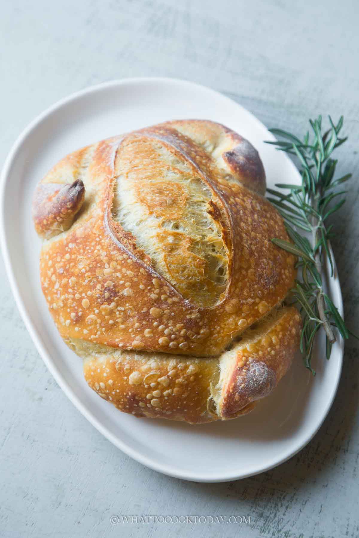 Easy No-Knead Turkey-Shaped Sourdough Bread