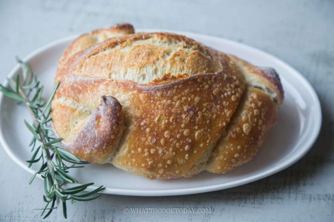 Easy No-Knead Turkey-Shaped Sourdough Bread