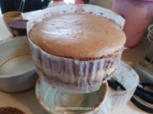 Taiwan Banana Castella Cake (Topo Map design)