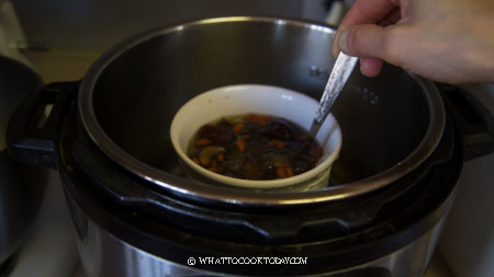 Double-boiled Edible Bird's Nest Soup (燕窝)