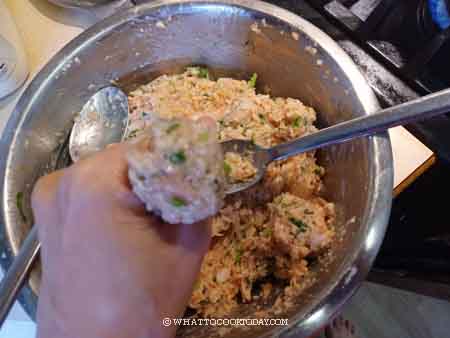 Fried Radish/Daikon Meatballs