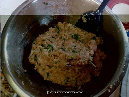Fried Radish/Daikon Meatballs