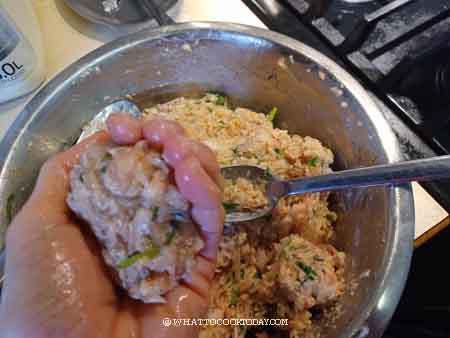 Fried Radish/Daikon Meatballs