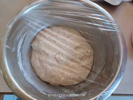 Sourdough discard Ji Dan Bing (Chinese Egg Flatbread)