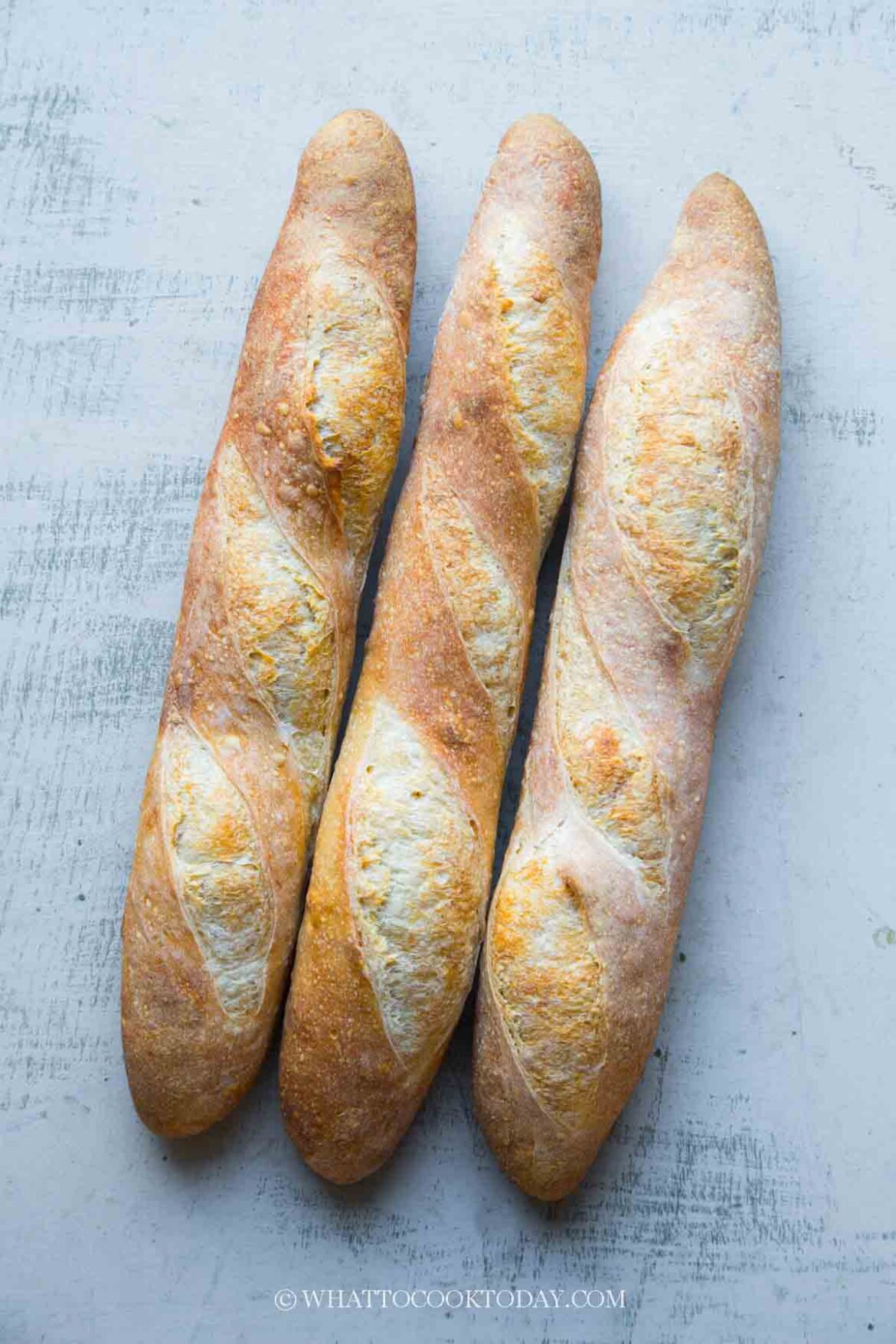 Easy No-Knead French Baguette (Yeast or Sourdough)