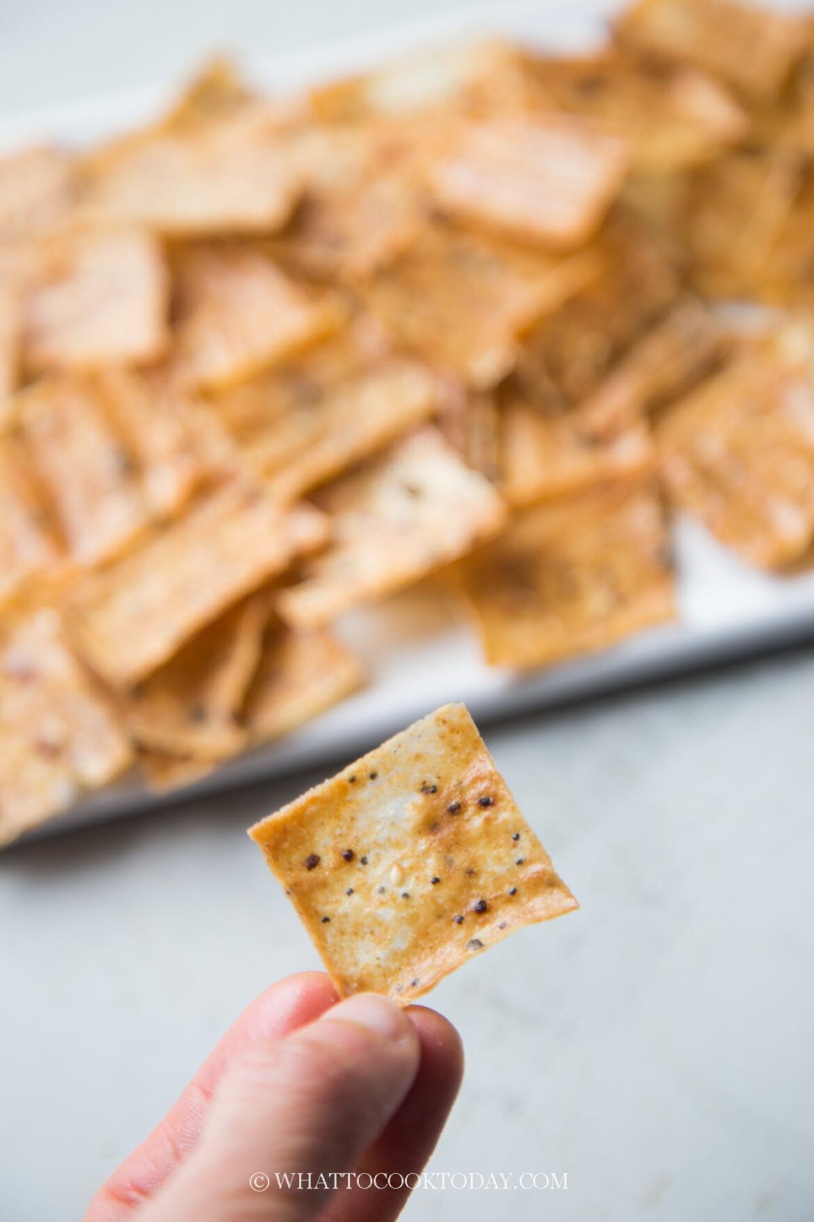 Easiest Sourdough Discard Crackers/Chips