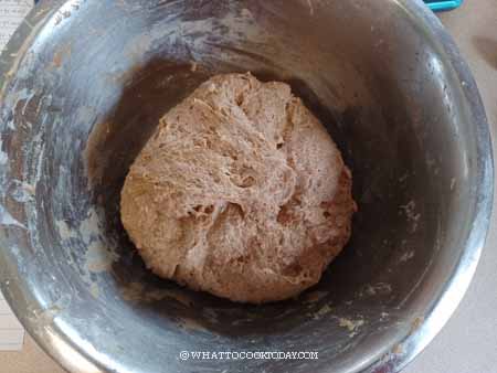 No-Knead Honey Wheat Bushman Bread (Outback Steakhouse)