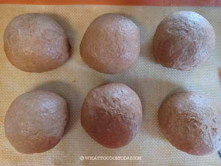 No-Knead Honey Wheat Bushman Bread (Outback Steakhouse)