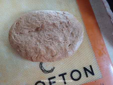 No-Knead Honey Wheat Bushman Bread (Outback Steakhouse)