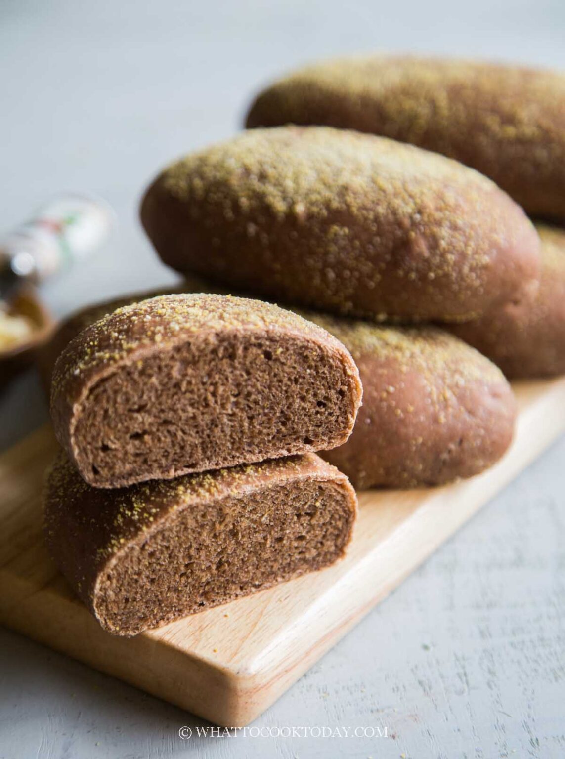 No-Knead Honey Wheat Bushman Bread (Outback Steakhouse)