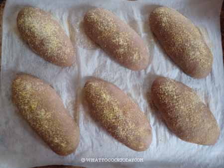 No-Knead Honey Wheat Bushman Bread (Outback Steakhouse)