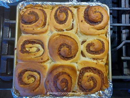 Miso Caramel Walnut Sticky Buns (Tangzhong)
