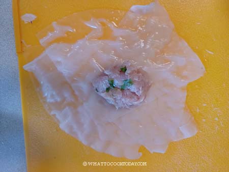 Rice Paper Steamed Pork Dumplings