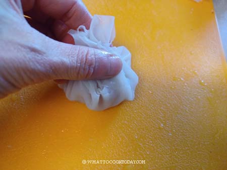 Rice Paper Steamed Pork Dumplings