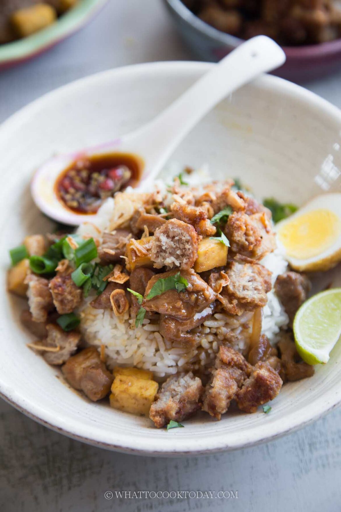Nasi Bakmoy (Minced Meat and Tofu Rice)
