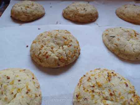 Lemon Osmanthus Snickerdoodles